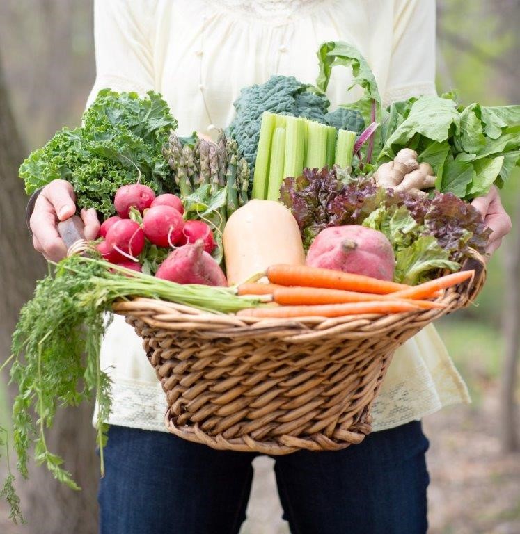 Incorporate immune-boosting foods into your menu and help prevent ...